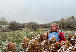 Welcome to the Club!– Common Farm Flowers