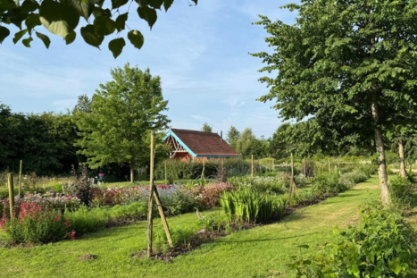 July news from the farm– Common Farm Flowers