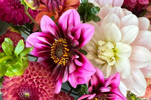 Online demos coming up from September– Common Farm Flowers