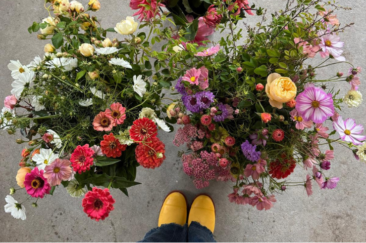 October news from the farm– Common Farm Flowers