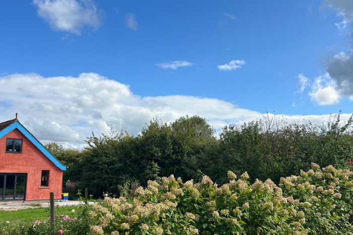 Coming up this week (13th October)– Common Farm Flowers