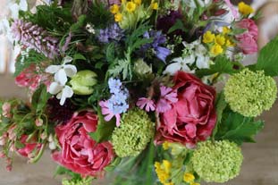 April at Common Farm Flowers Common Farm Flowers