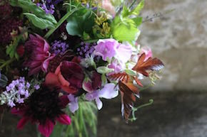 Planning the cut flower patch Common Farm Flowers