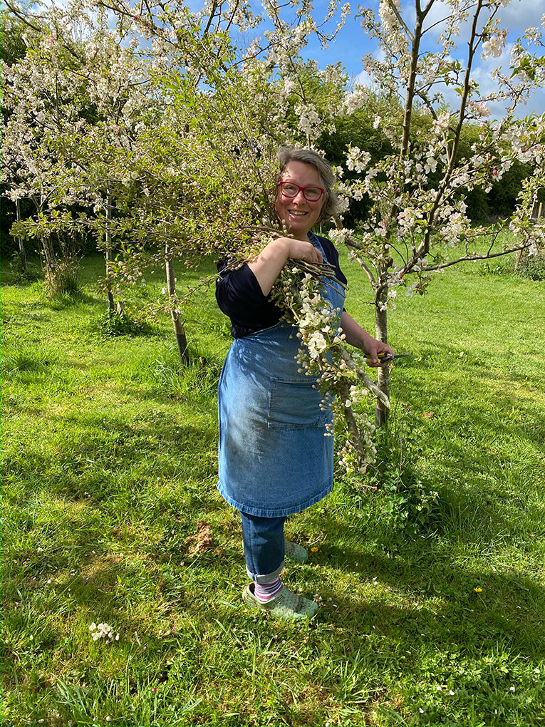 Mentoring Additional Sessions– Common Farm Flowers