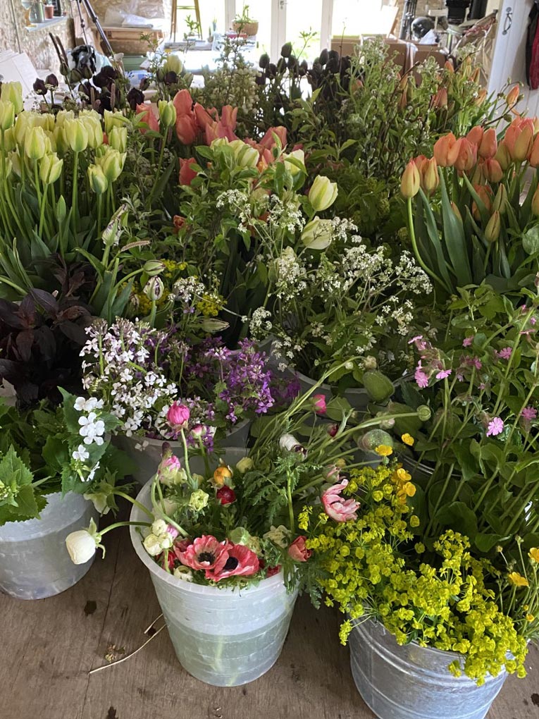 The Cutting And Conditioning Your Flowers Demo (online)– Common Farm ...