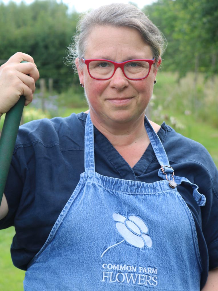 Mentoring With Georgie– Common Farm Flowers