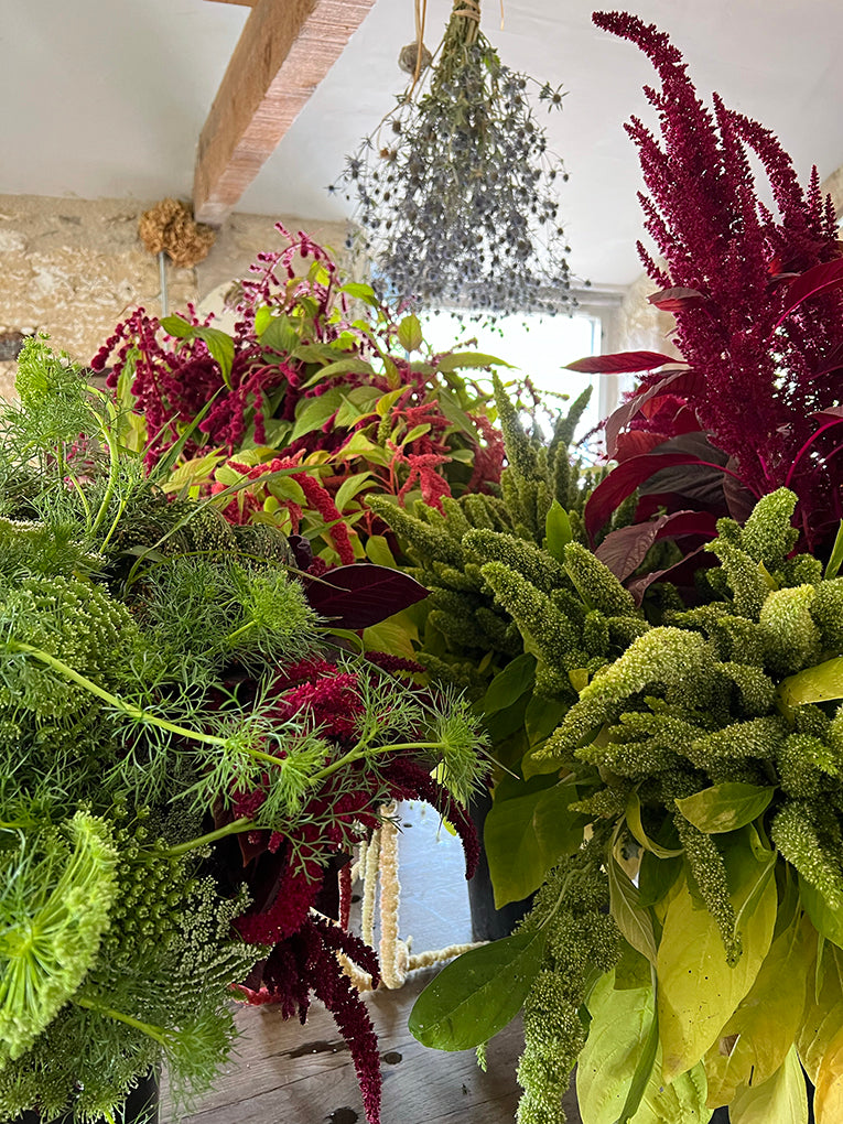 The Pricing Cut Flowers To Sell Workshop online Common Farm Flowers the-pricing-cut-flowers-to-sell-workshop-online-common-farm-flowers